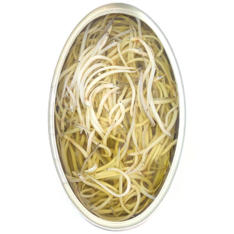 Baby Eels in Olive Oil (Angulas) - Donostia Foods