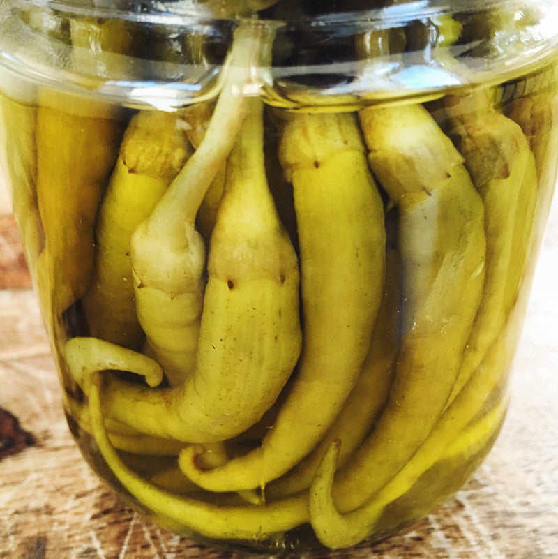 Guindilla Peppers - Piparras - Donostia Foods